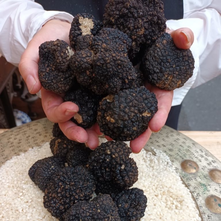 Finest Fresh Truffles London, UK | Online Truffle Shop | Truffle Master
