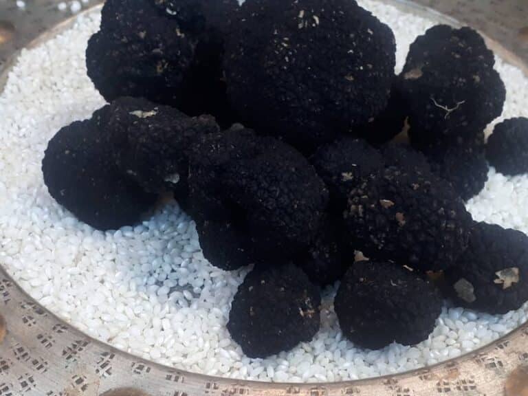 Finest Fresh Truffles Wholesale in London, Uk | Truffle Master
